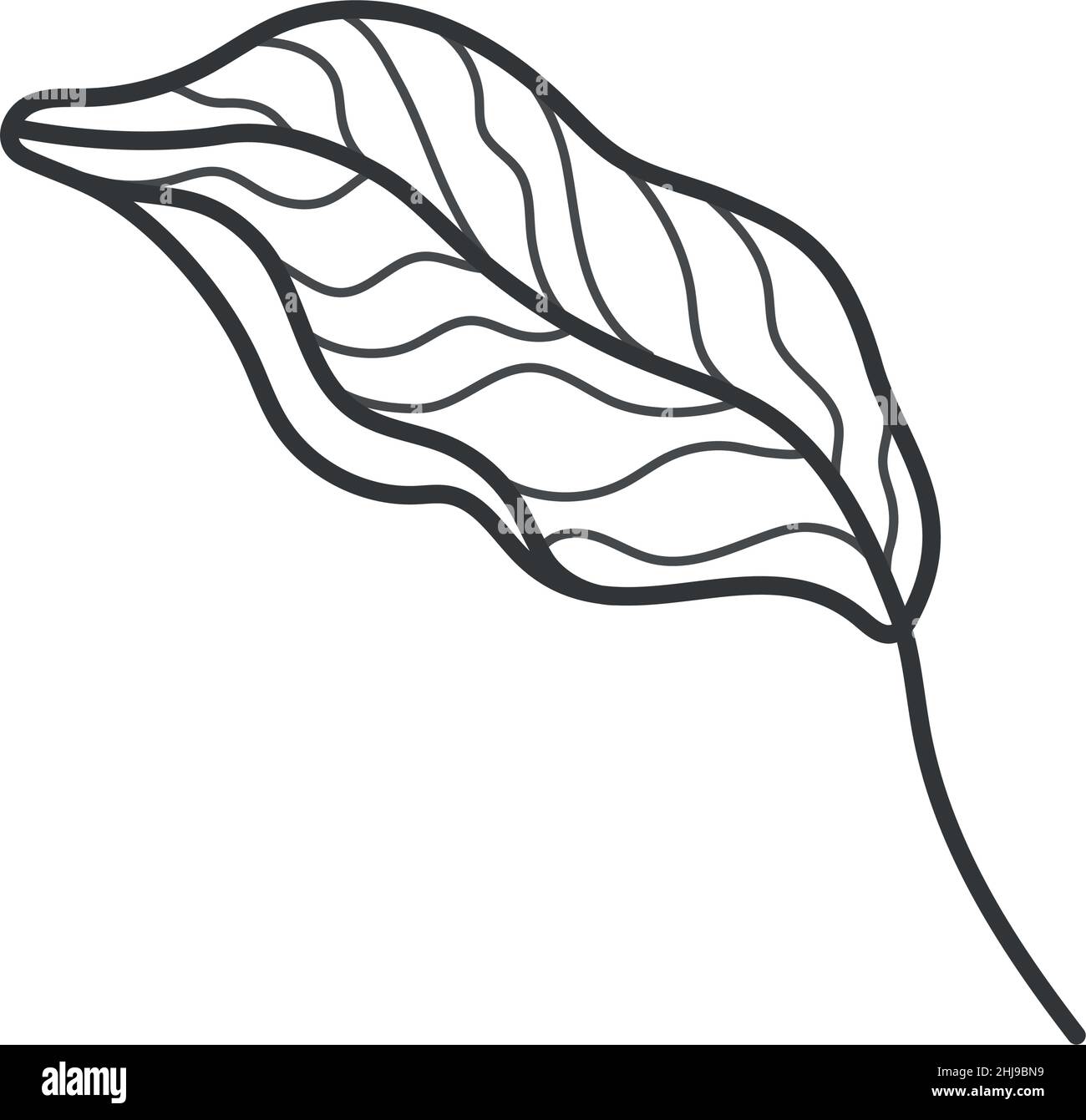 cute leaf icon Stock Vector Image & Art - Alamy