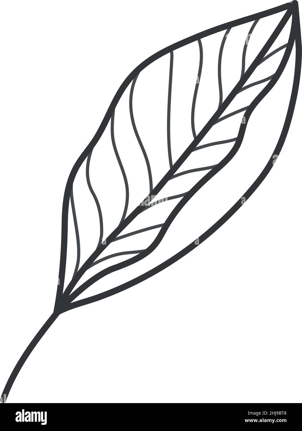 cute leaf design Stock Vector Image & Art - Alamy