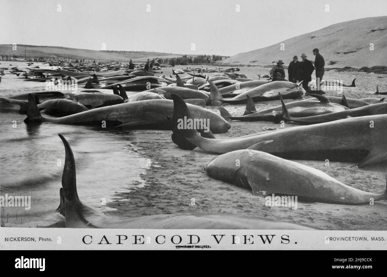 George hathaway hi-res stock photography and images - Alamy