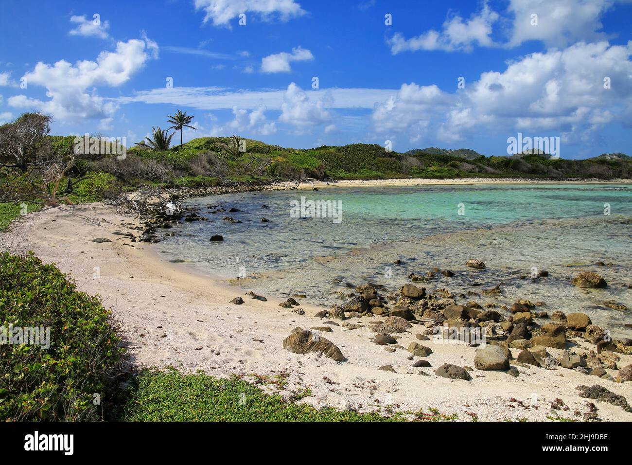 Coastline of White Island near Carriacou Island, Grenada Stock Photo ...