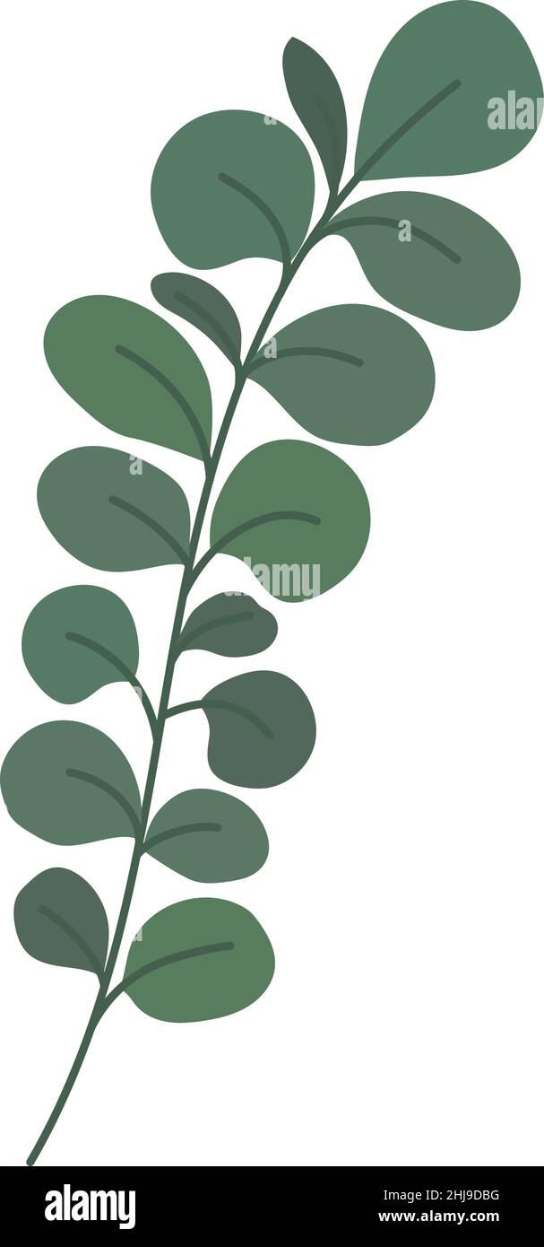 green branch design Stock Vector Image & Art - Alamy