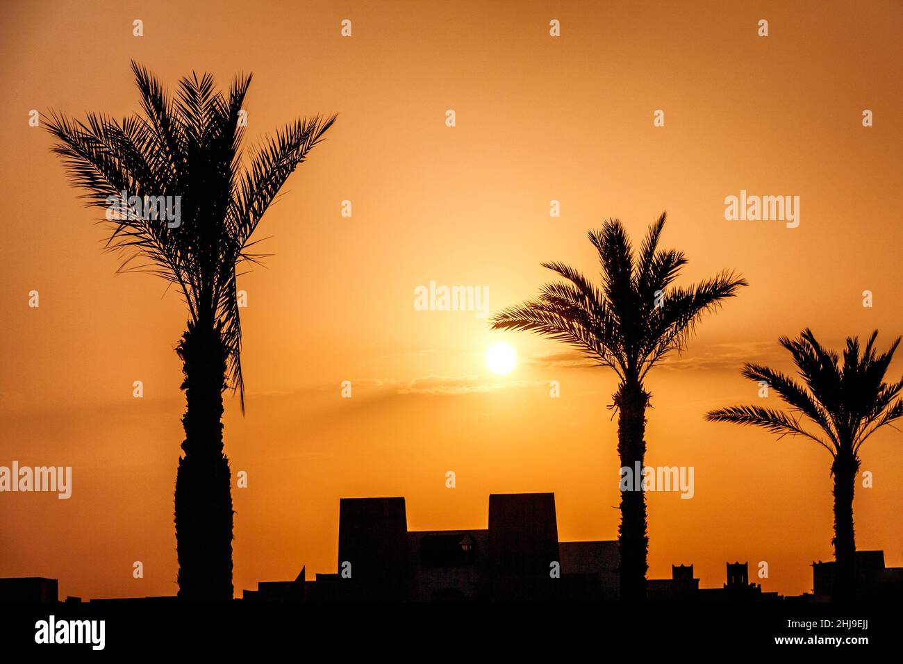 Morocco orange tree hi-res stock photography and images - Alamy