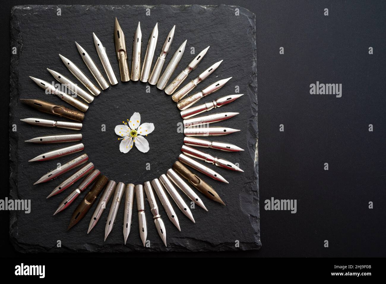 Vintage pen nib hi-res stock photography and images - Alamy