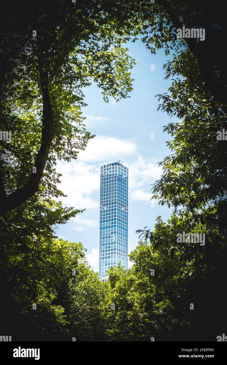 Skyscraper amongst the trees Stock Photo - Alamy