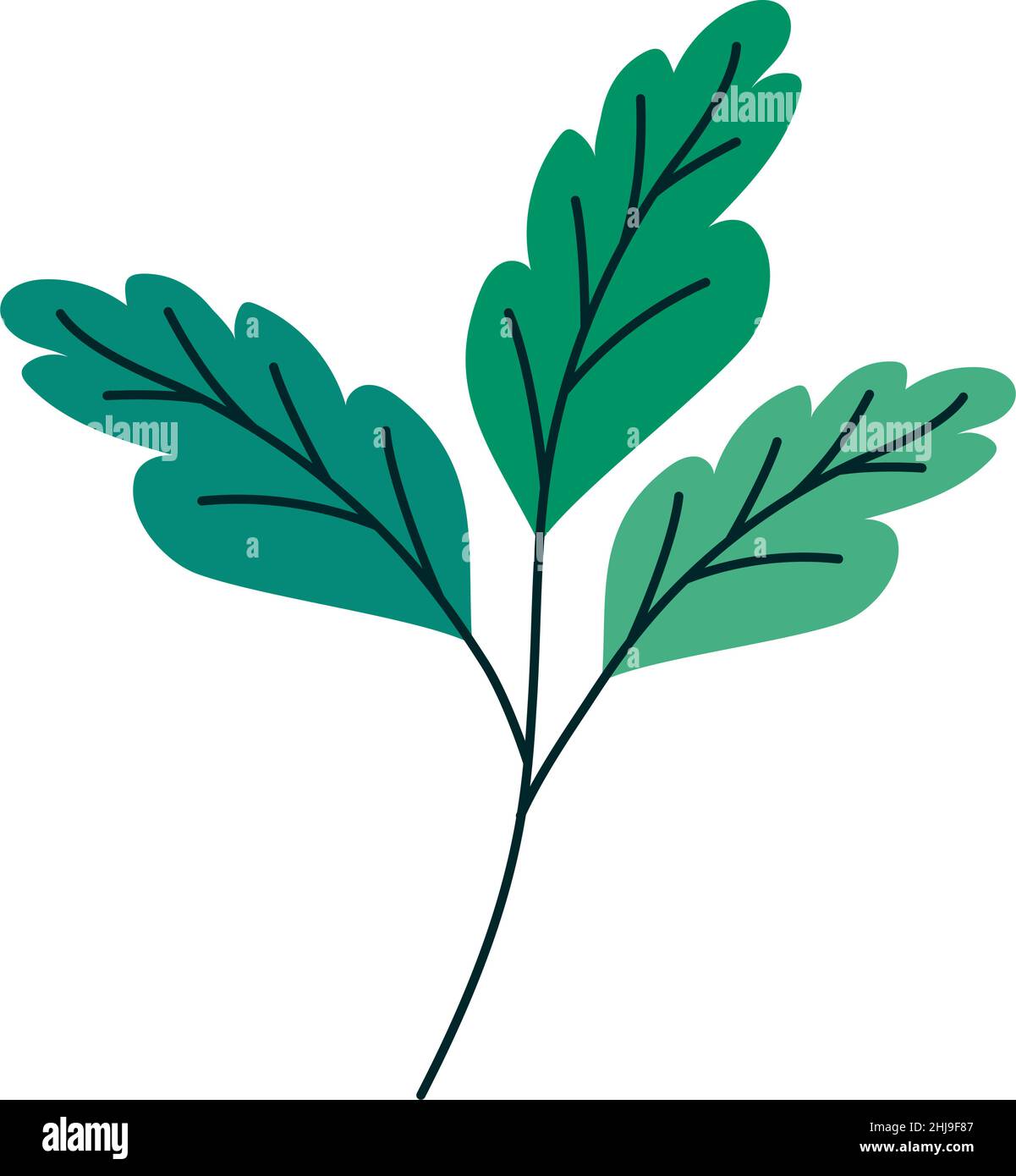 plant stem illustration Stock Vector Image & Art - Alamy