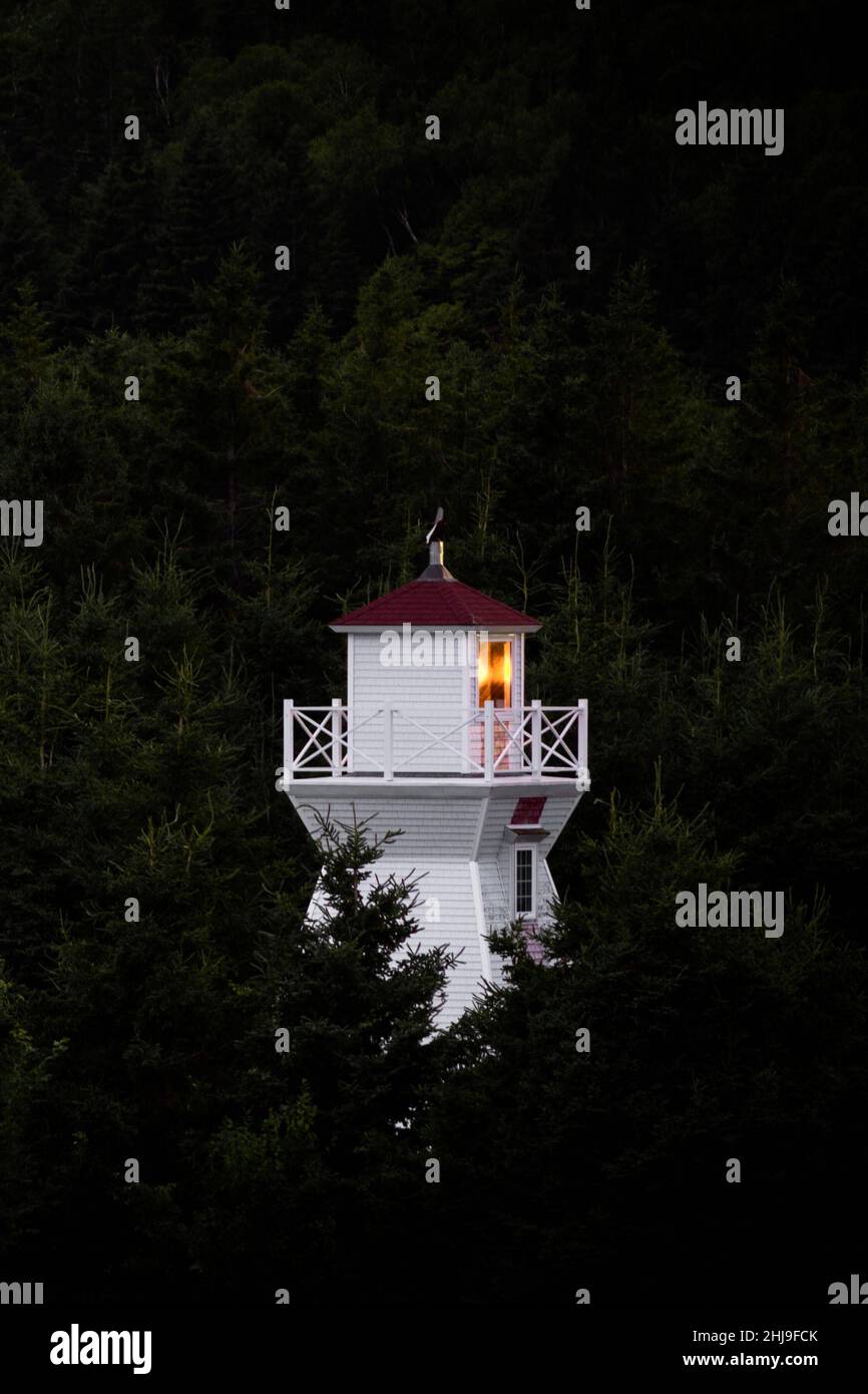 Oceanside forest hi-res stock photography and images - Alamy