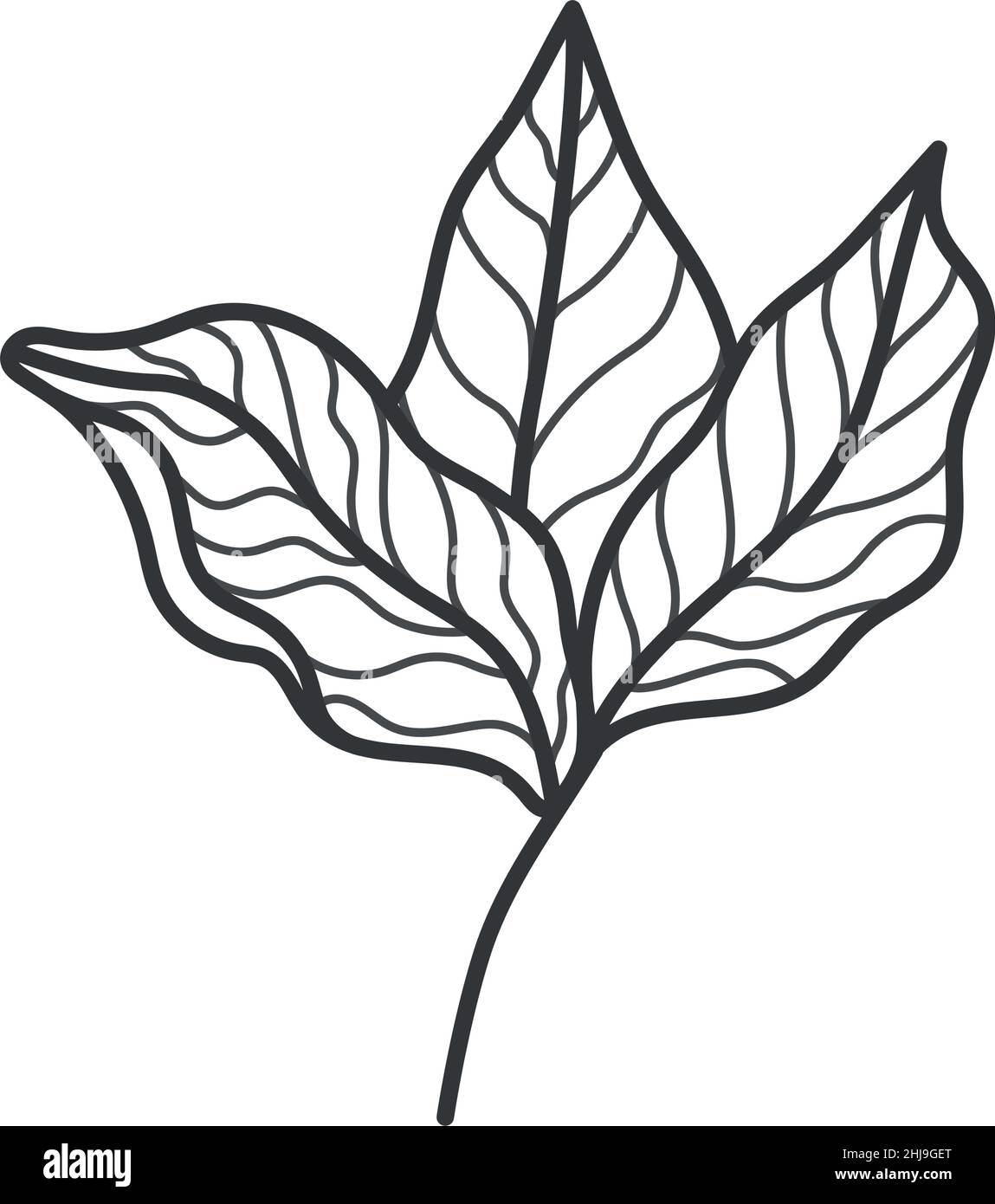 cute leaves design Stock Vector Image & Art - Alamy