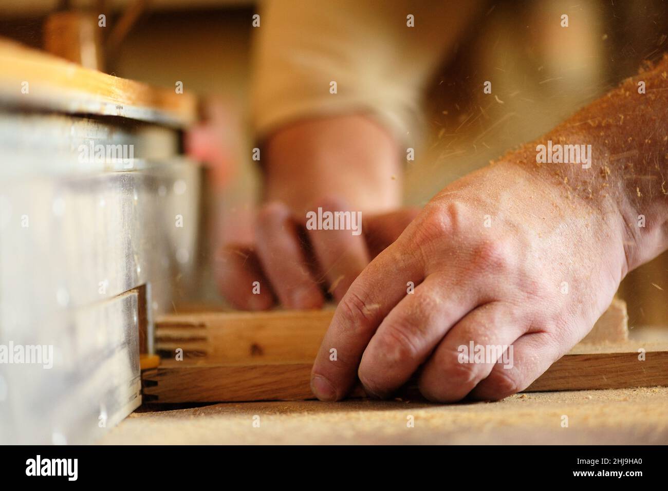 Carpenter's hands cutting piece of wood by cutter closeup Stock Photo ...