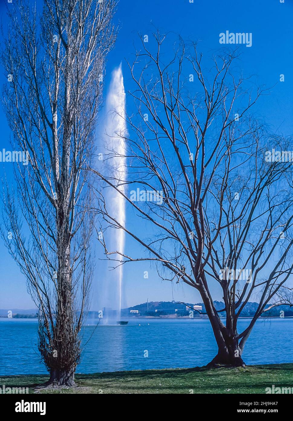 This is Lake Burley Griffin and its giant fountain so named after the ...
