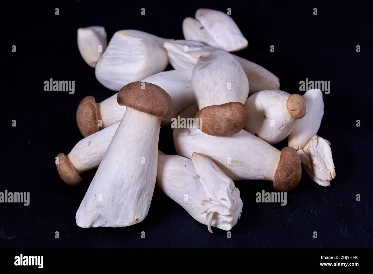 Pleurotus eryngii is an edible mushroom native to Mediterranean regions ...