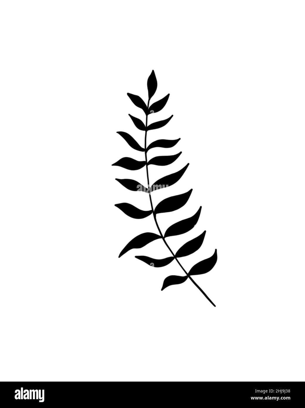 botany tattoo sketch - beautiful twig plant. Botanical element template ...