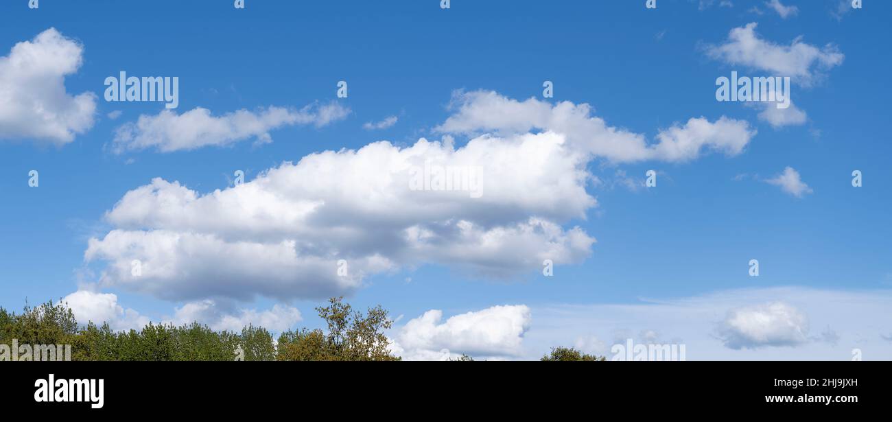 Skyscape with cumulus clouds in white and grey and a clear deep blue ...