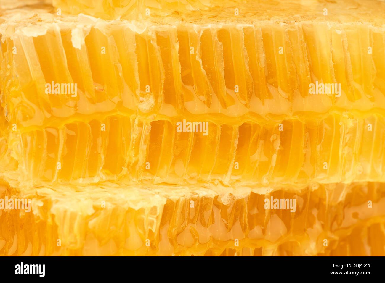 Close up cut fresh golden comb honey background texture, full frame ...