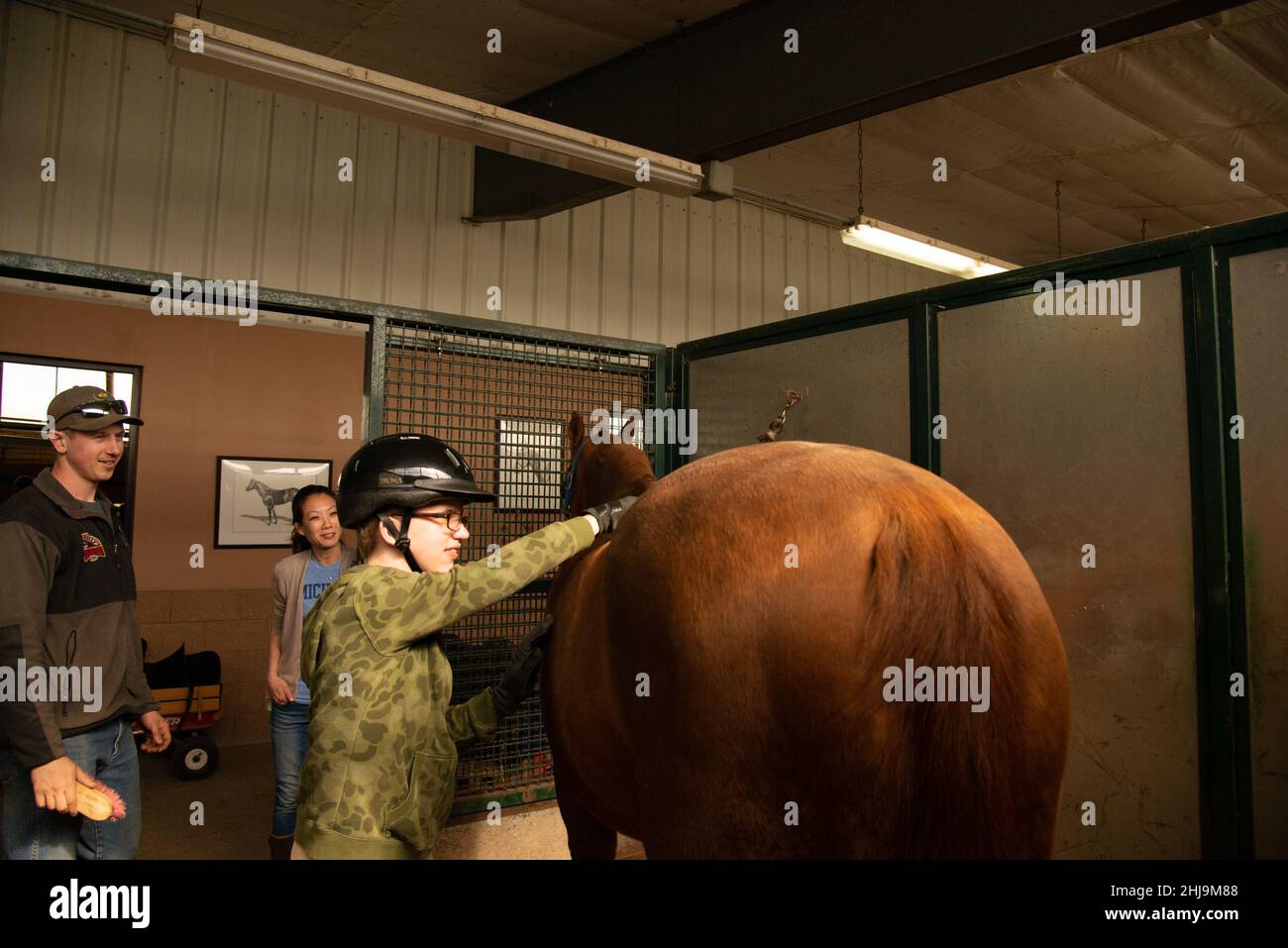 Equine-assisted therapy (EAT) encompasses a range of treatments that ...
