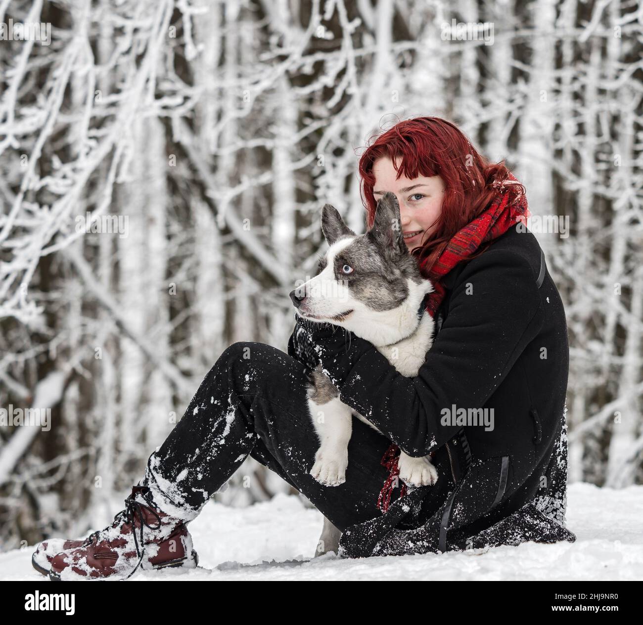 Portrait of a girl in the snow with her pet - corgi. Winter fairy tale ...