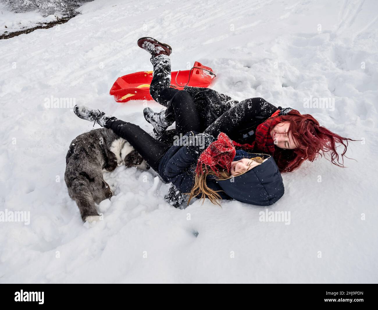 Two girls, sisters, play with a corgi dog on a snowy field in the mountains. Youth, joy and ...