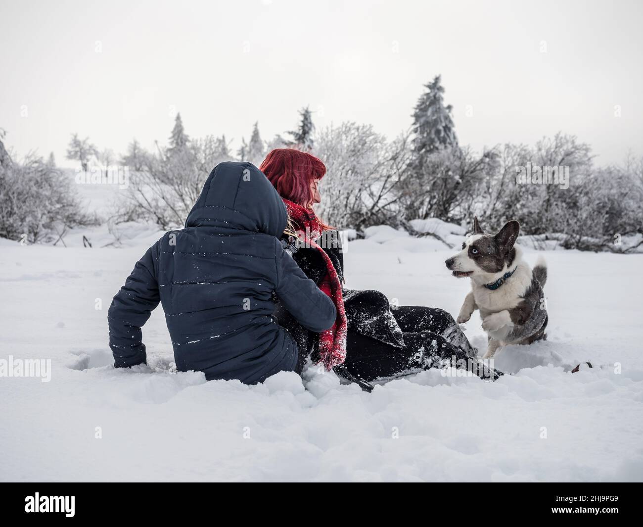 Two girls, sisters, play with a corgi dog on a snowy field in the mountains. Youth, joy and ...