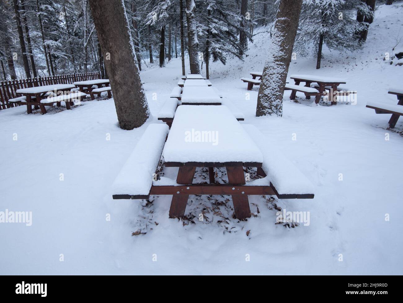 Forest picnic area with food wooden bench covered in snow. Winter snowy ...