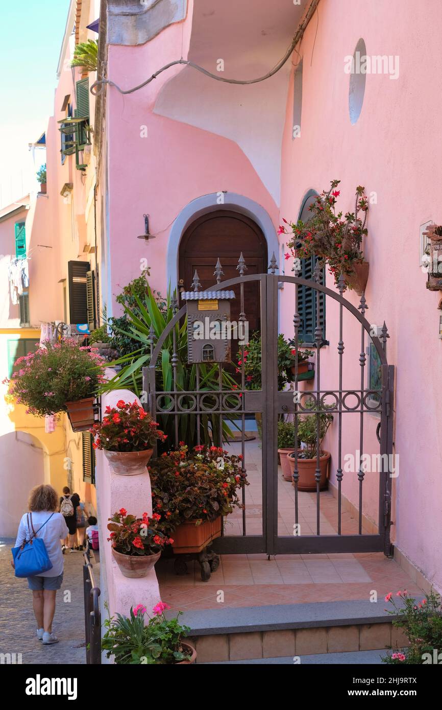 The colorful and characteristic houses of Procida are defined as ...