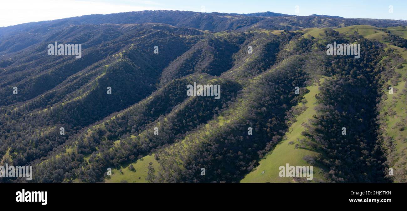 Green grass and oak trees cover the rolling hills and valleys of the ...
