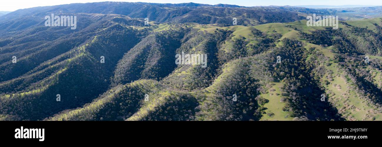 Green grass and oak trees cover the rolling hills and valleys of the ...