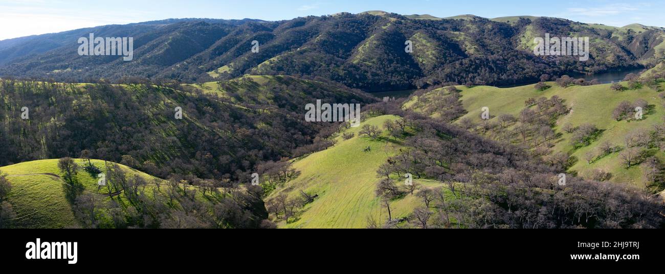 Green grass and oak trees cover the rolling hills and valleys of the ...