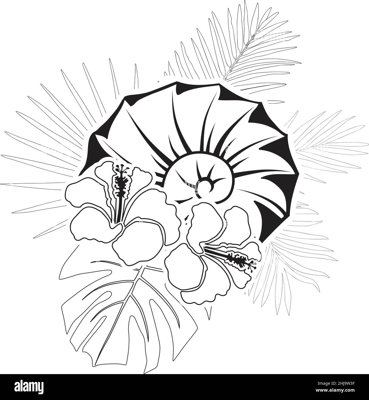 nautilus shell and palm leaves Stock Vector Image & Art - Alamy