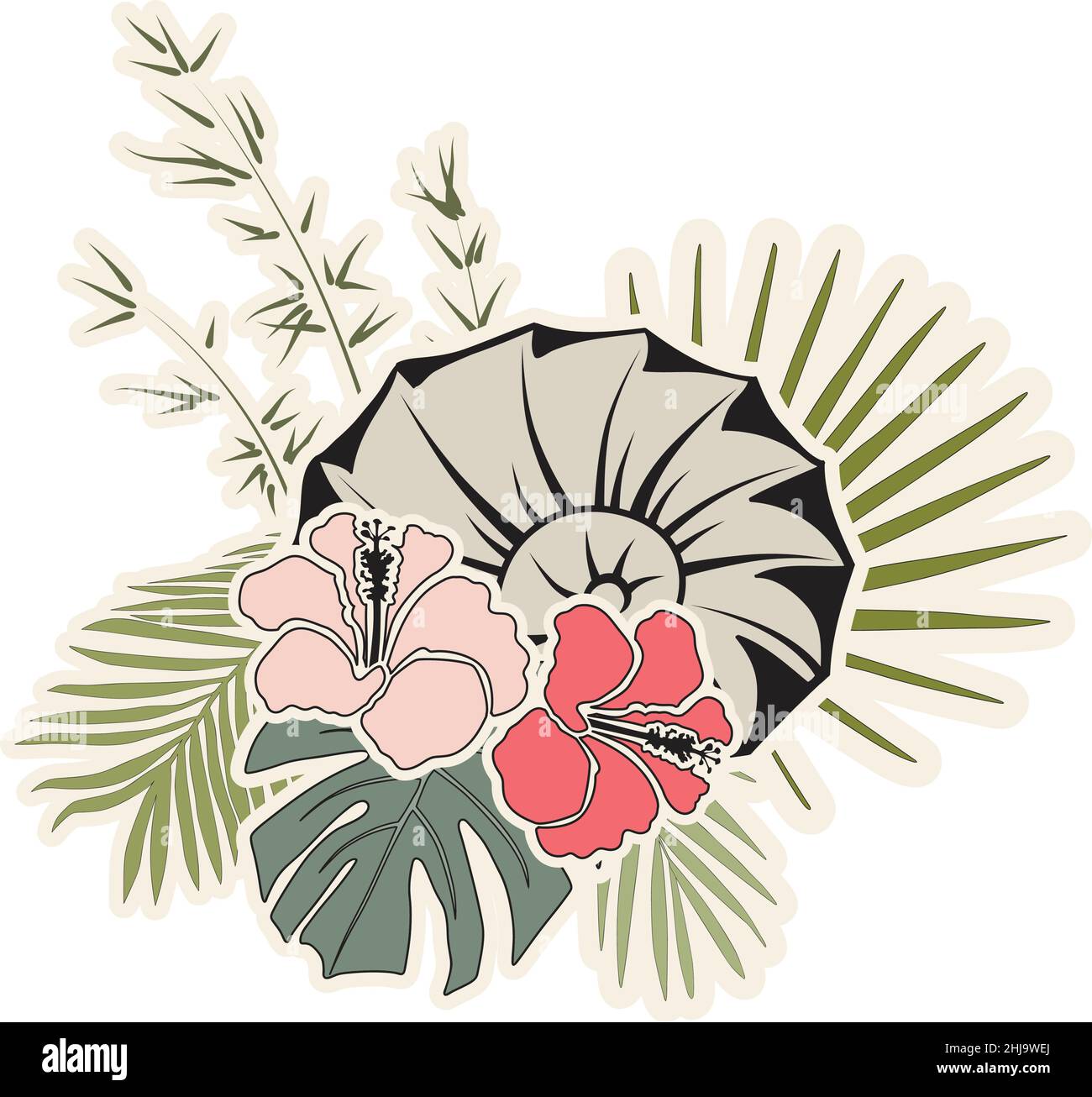 nautilus shell and palm leaves Stock Vector Image & Art - Alamy