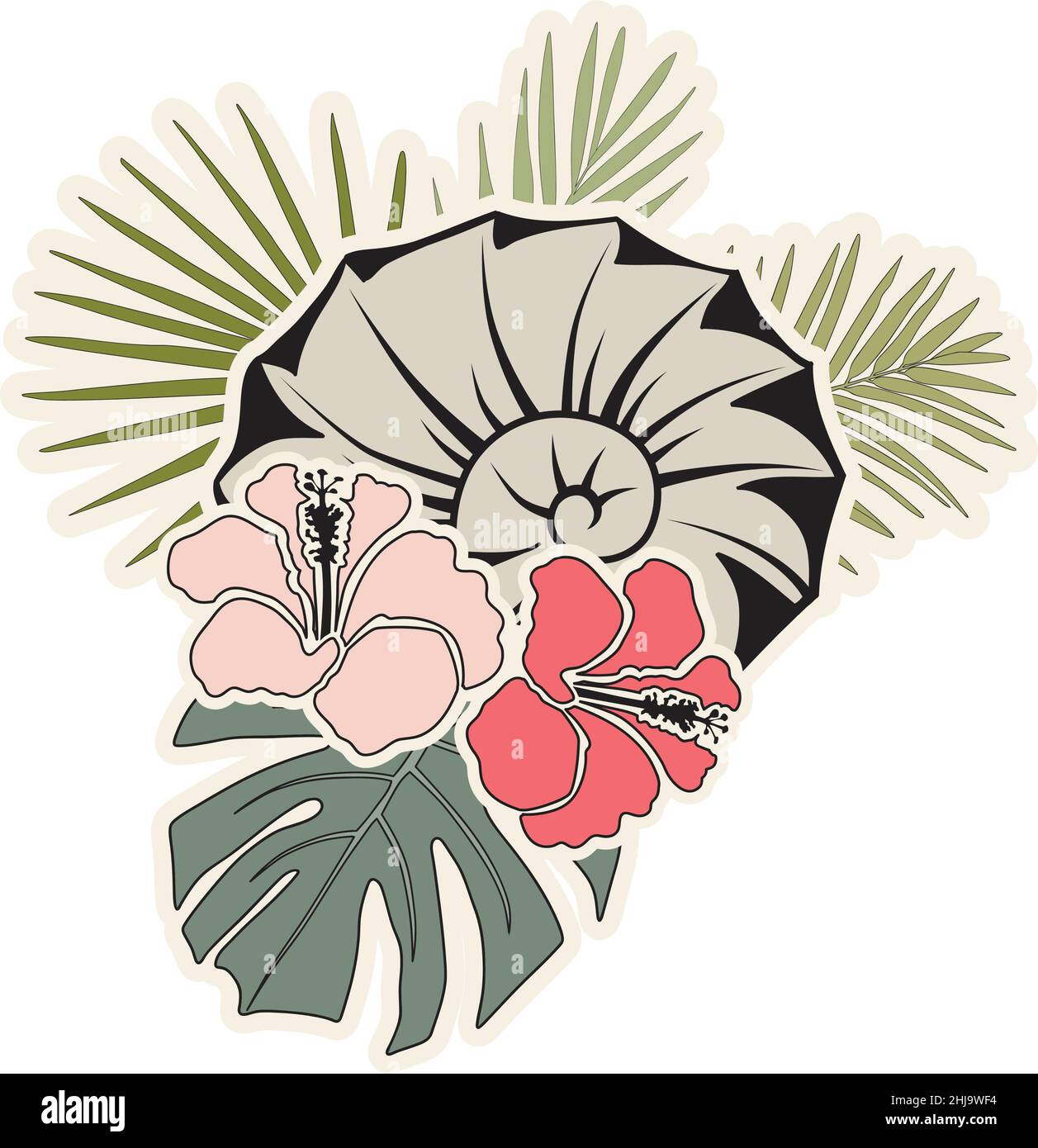 nautilus shell and palm leaves Stock Vector Image & Art - Alamy