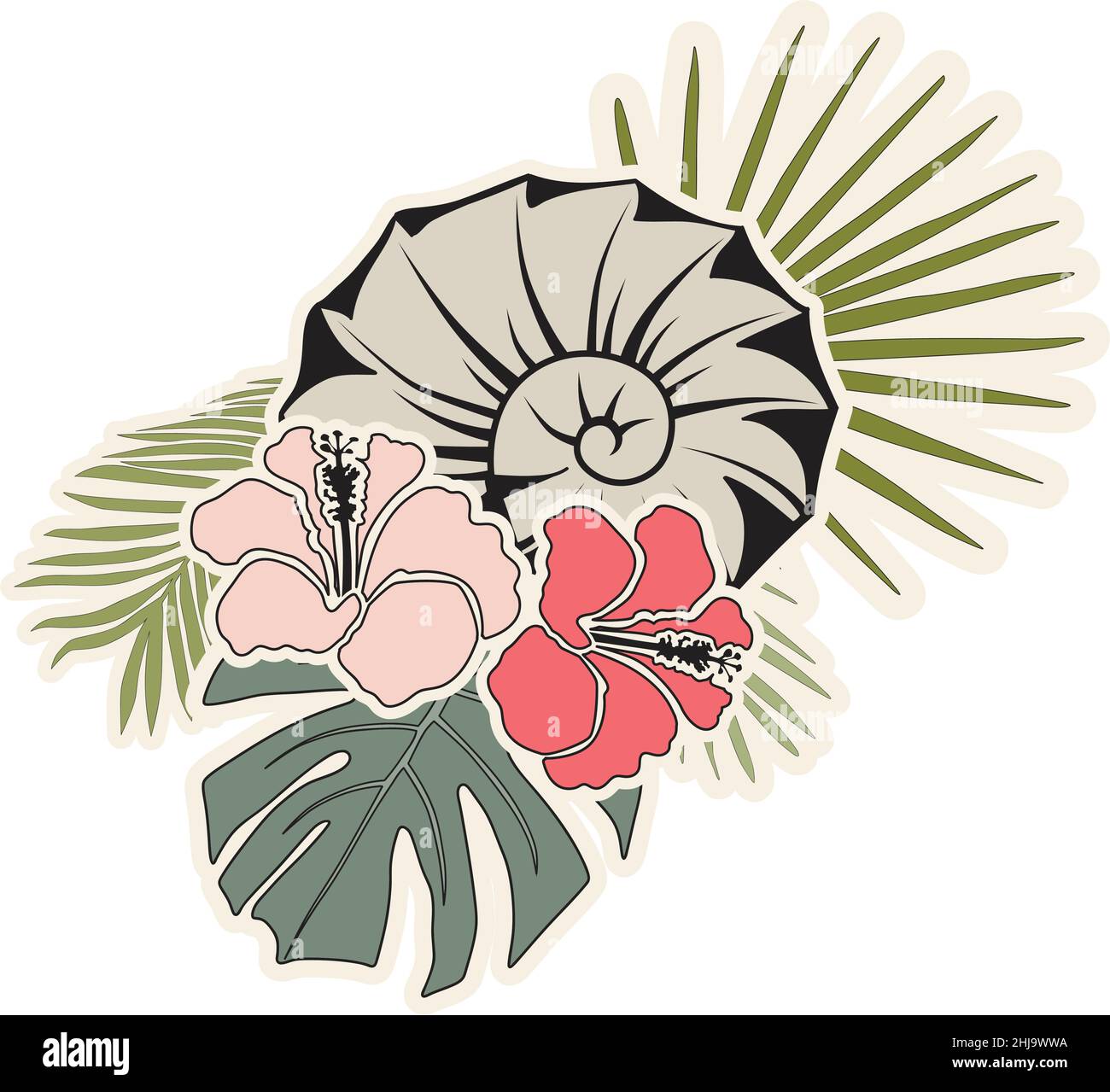nautilus shell and palm leaves Stock Vector Image & Art - Alamy