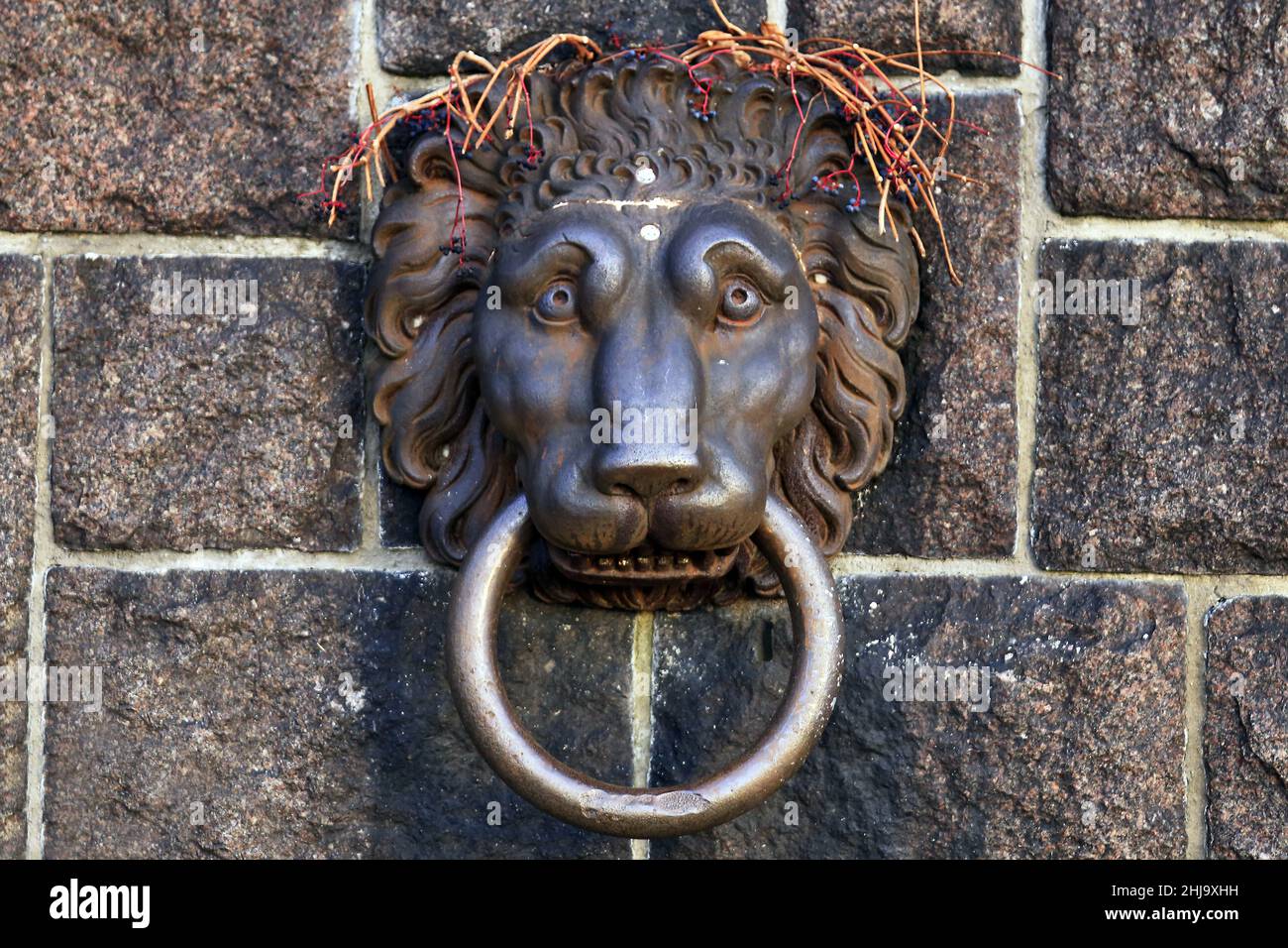 Stockholm lion symbol of city municipality, Stockholm, Sweden Stock ...