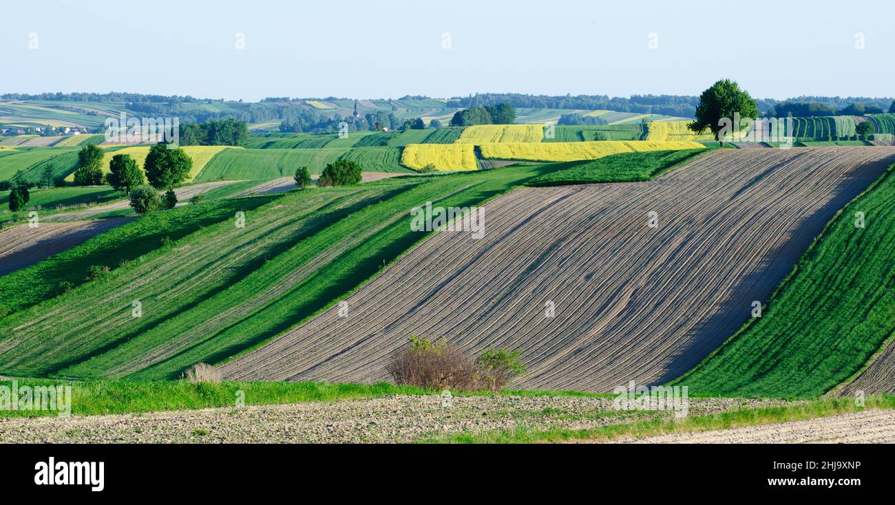Spring farmland in Roztocze. Spring farmland in Roztocze. Cultivation ...