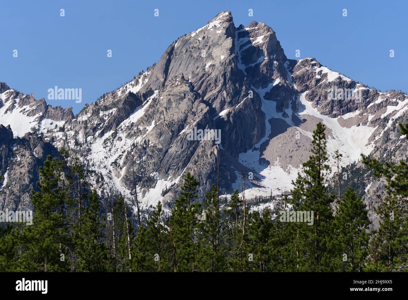 Rugged trees hi-res stock photography and images - Alamy