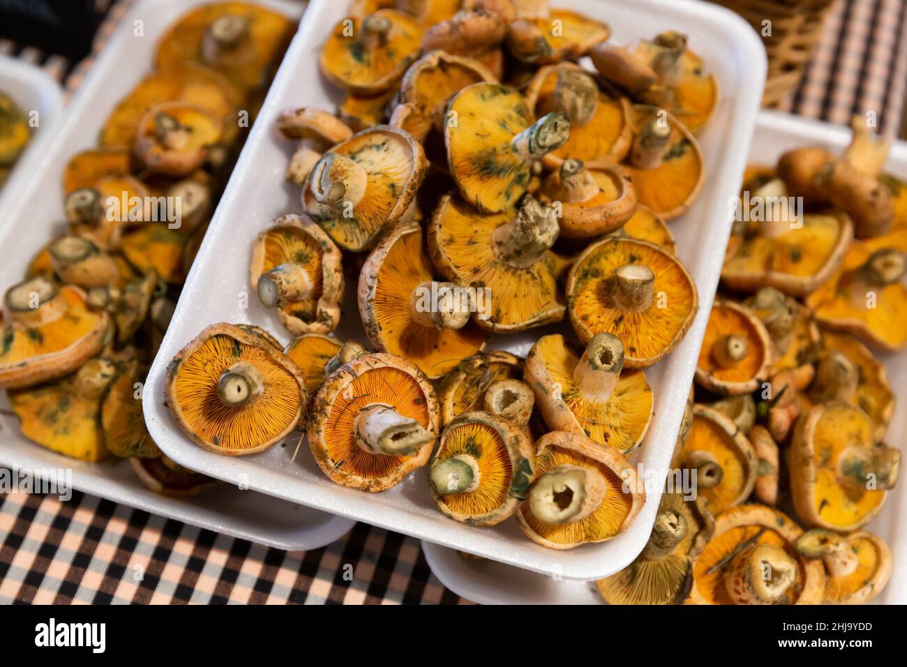 Mushrooms at store counter Stock Photo - Alamy