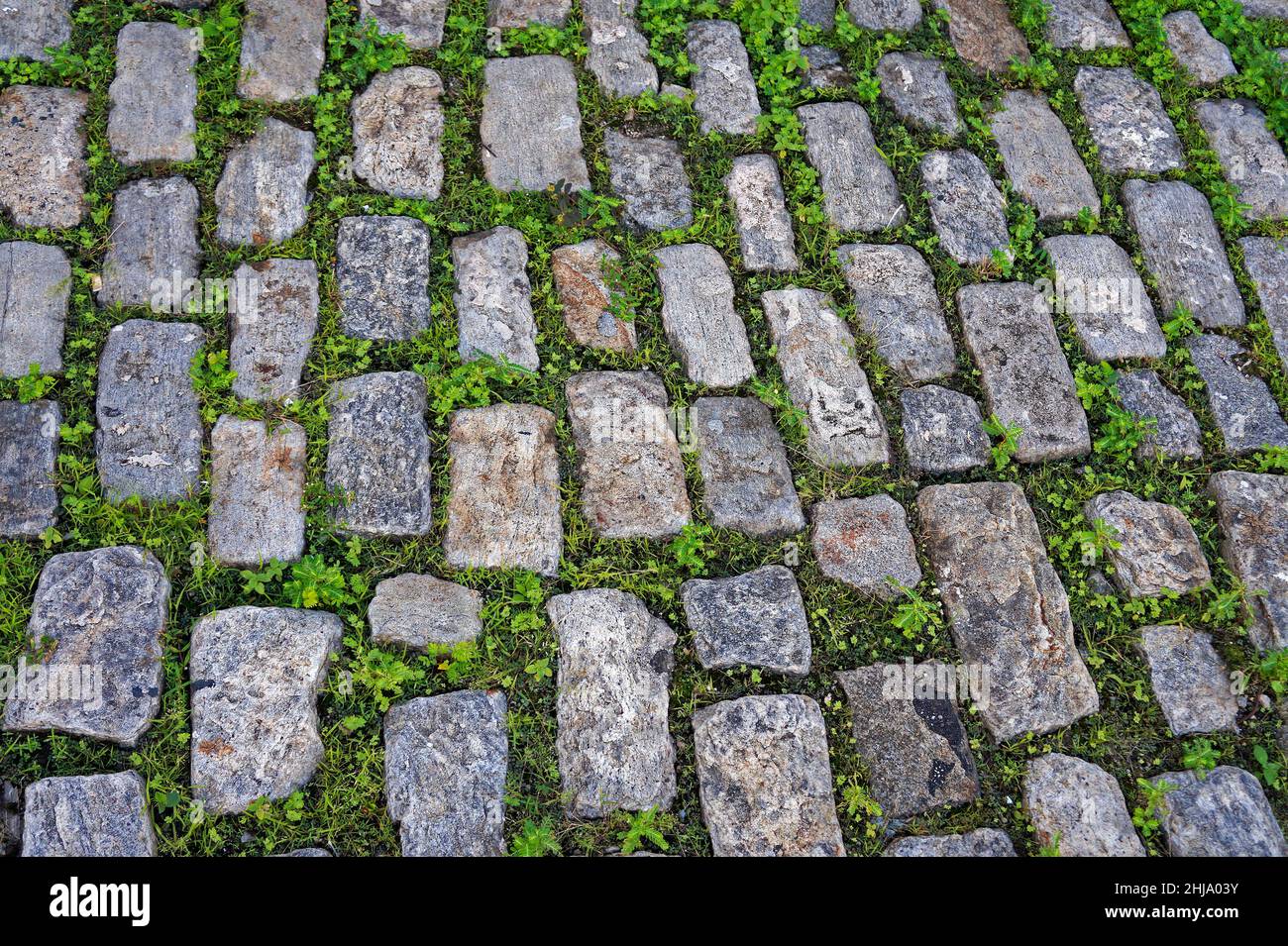 Cobblestone with moss texture background Stock Photo - Alamy