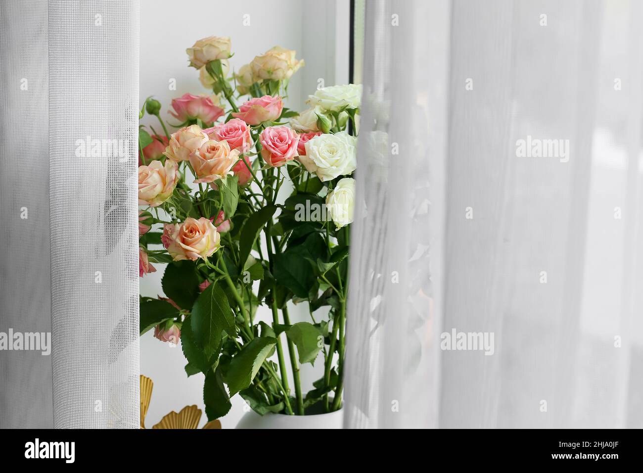 Vase with beautiful roses near window Stock Photo - Alamy
