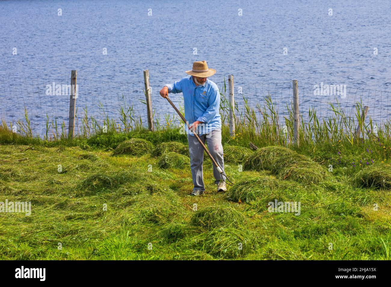 Fodder harvesting hi-res stock photography and images - Alamy