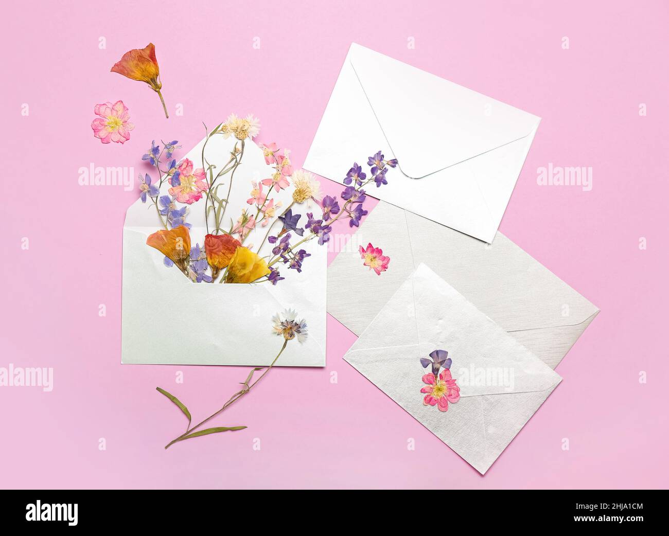 Envelopes with dried pressed flowers on pink background Stock Photo - Alamy