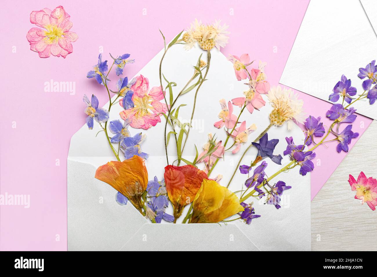 Envelope with dried pressed flowers on pink background, closeup Stock ...