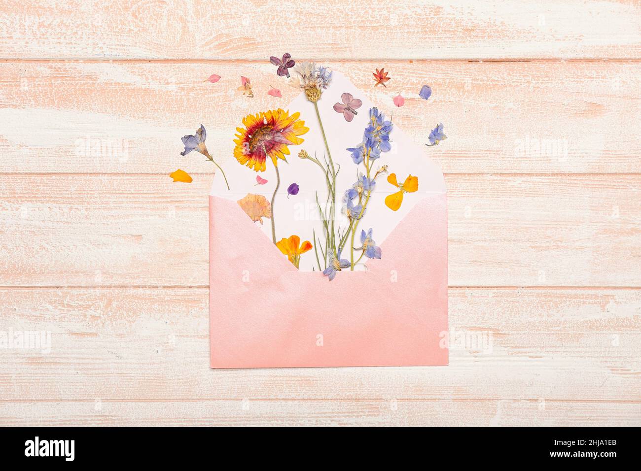 Composition with dried pressed flowers and envelope on white wooden ...