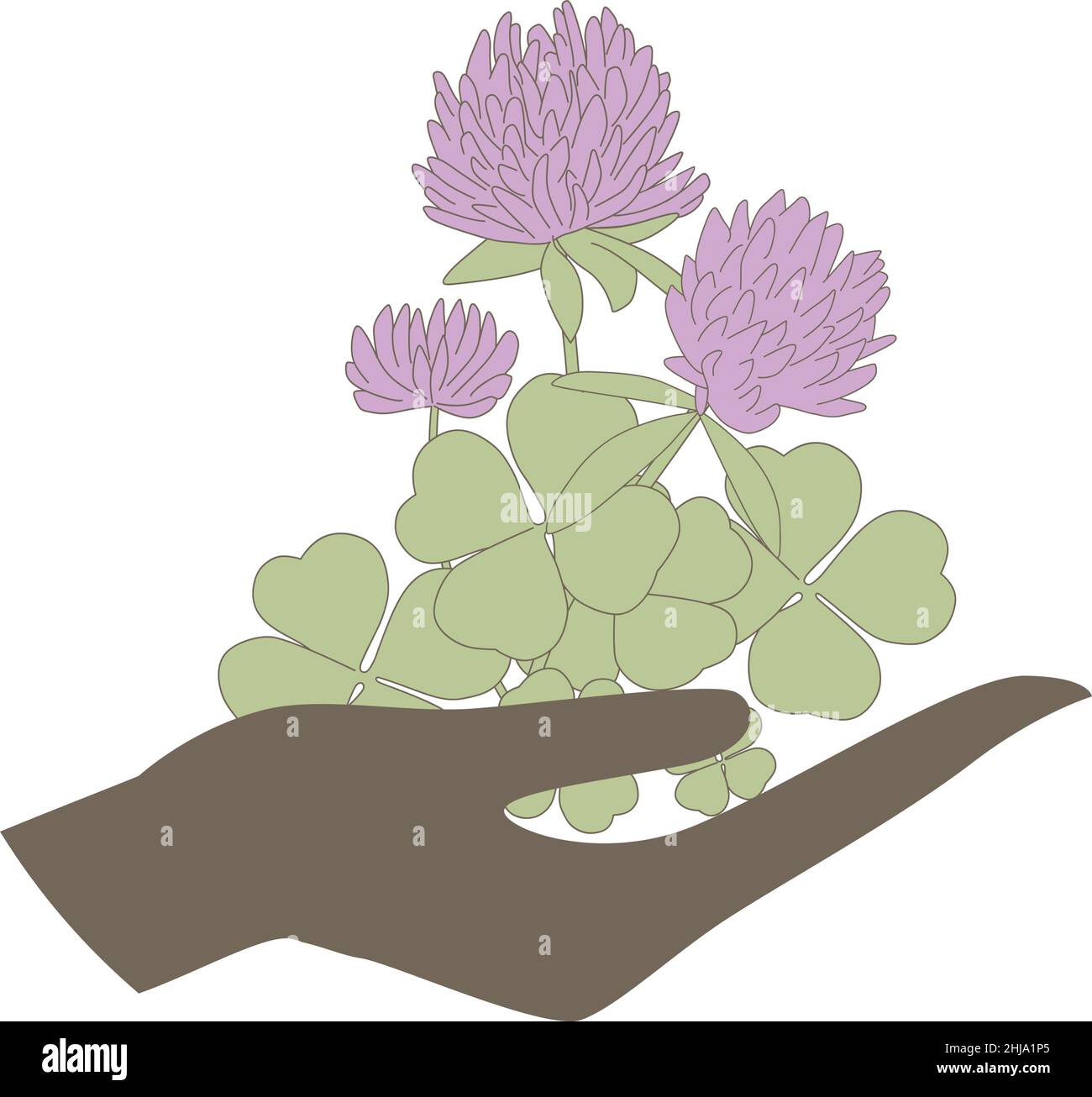 Hand holding bouquet flowers Stock Vector Images - Alamy