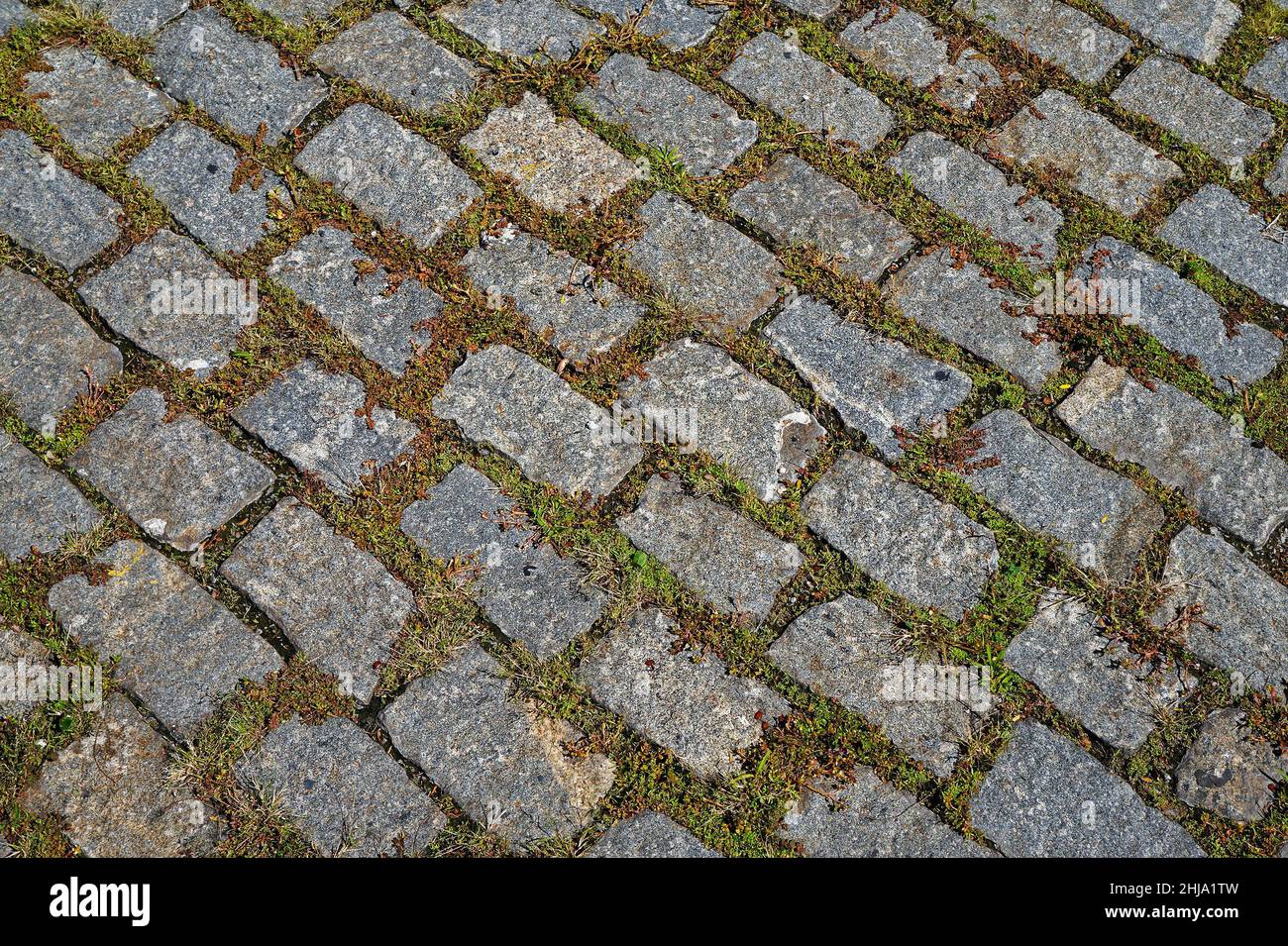 Cobblestone with moss texture background Stock Photo - Alamy