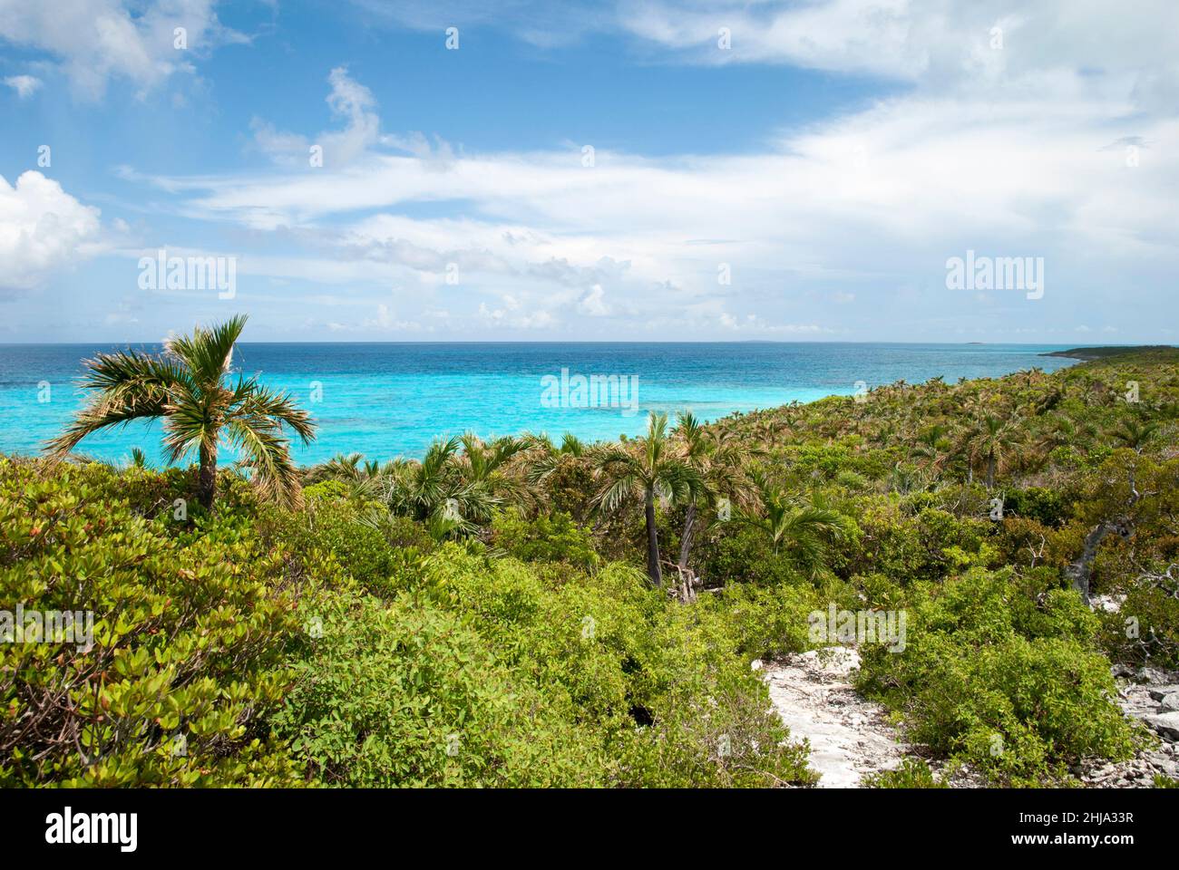 The view from the highest point of a lush landscape on uninhabited ...