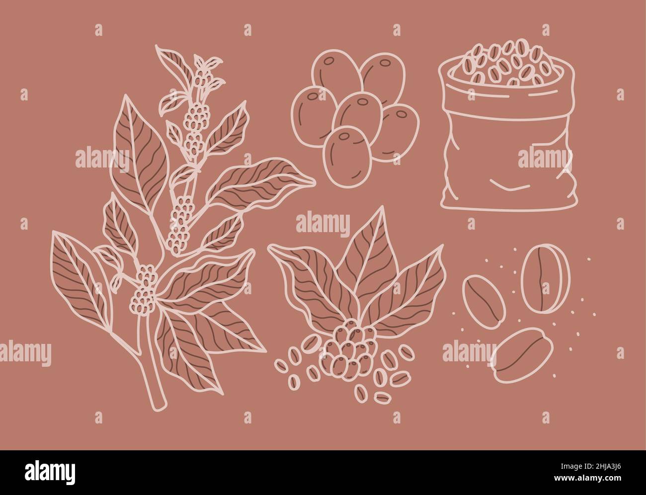 coffee plants items Stock Vector Image & Art - Alamy
