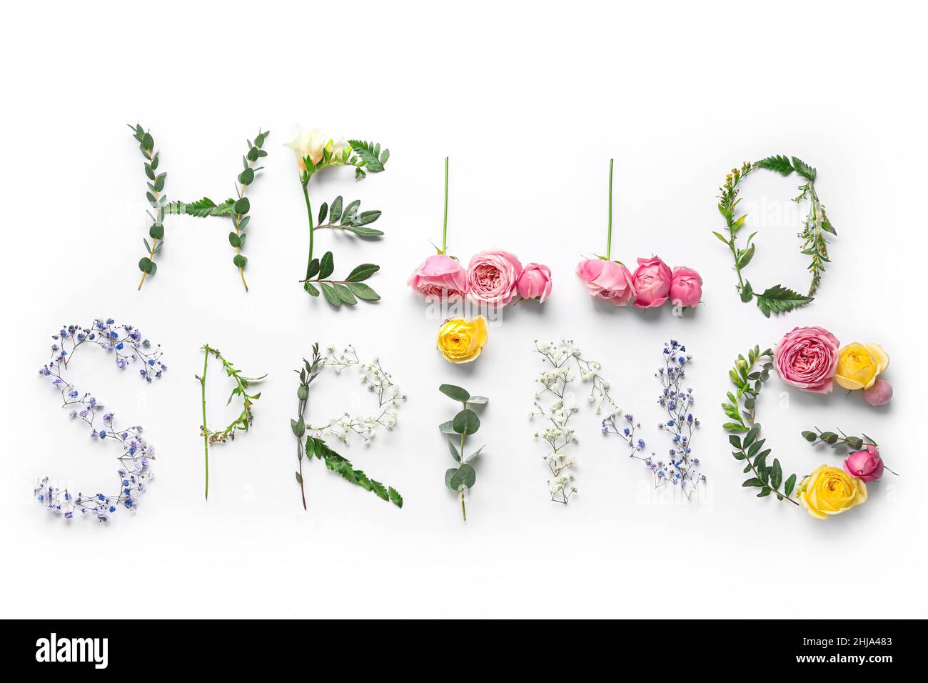 Text HELLO SPRING made of different flowers and leaves on white ...