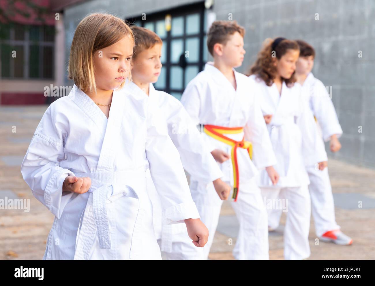 Children are standing in the fighting stance karate Stock Photo - Alamy