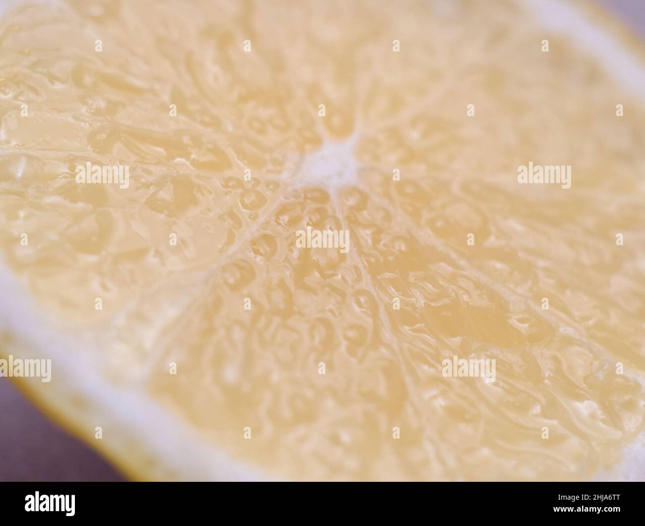 Shiny Halved Yellow Lemon Fruit Macro Closeup Stock Photo - Alamy