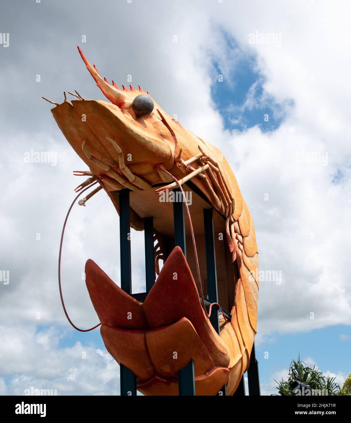 Big Prawn tourist attraction in Ballina NSW Australia Stock Photo - Alamy