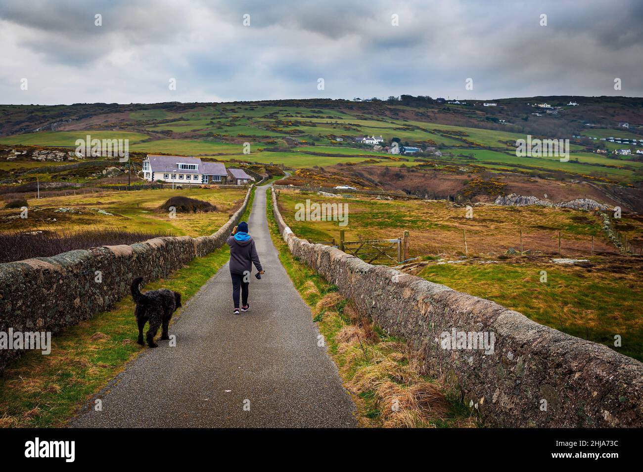 Lady and her black Labradoodle dog walk along the road leading away ...