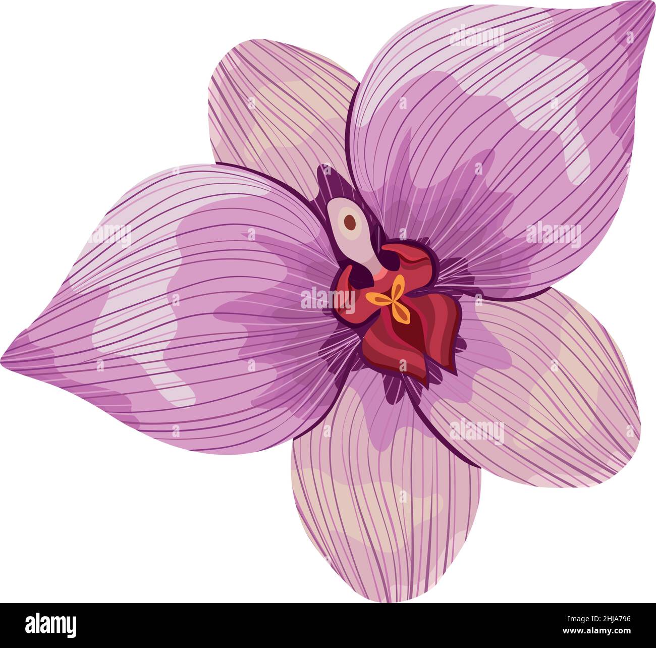 pink cattleya design Stock Vector Image & Art - Alamy